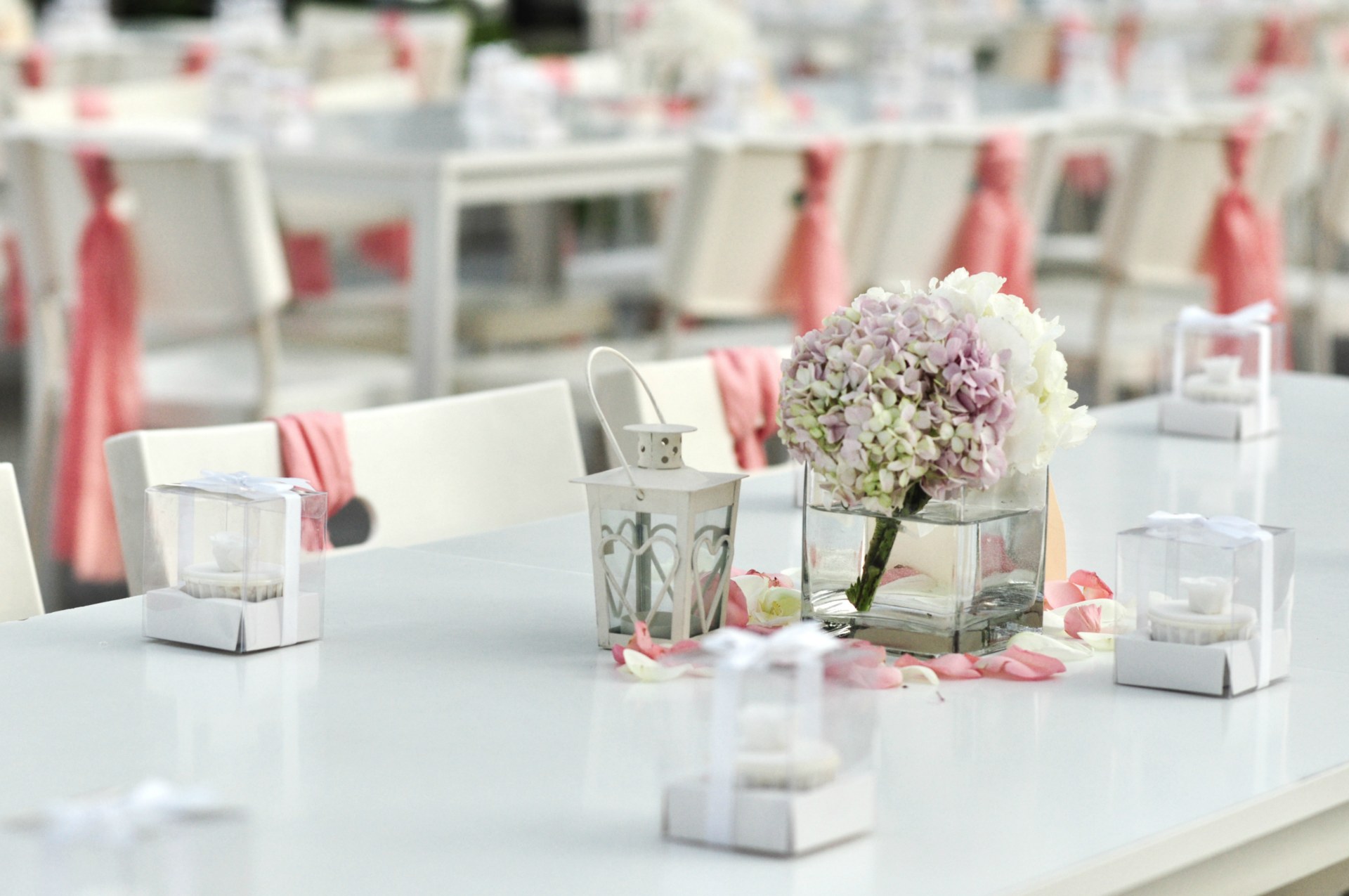 Chateau De Caffeinees - Photo Gallery